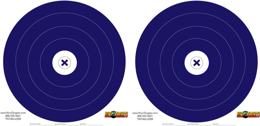 200ct Box 40cm Single Spot Blue | NiceTargets