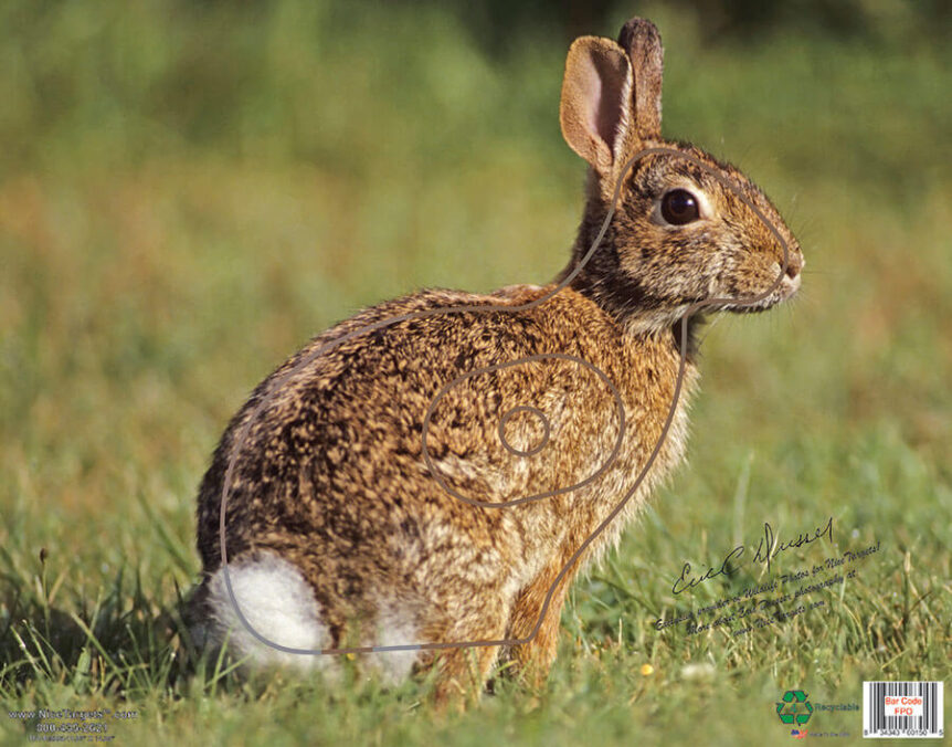 100ct Box Rabbit | NiceTargets