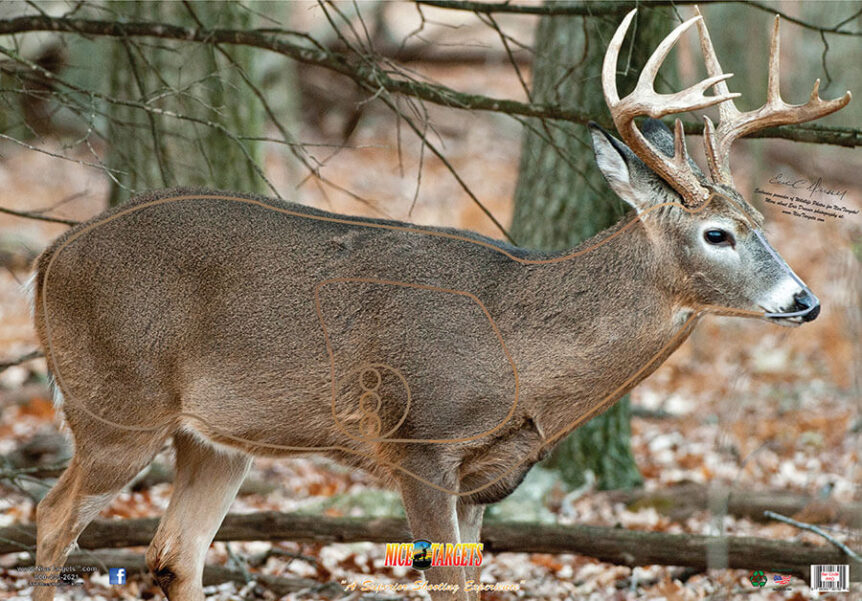 Broadside Right Deer 28" x 40" | NiceTargets