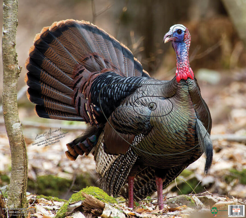 100ct Box Turkey | NiceTargets