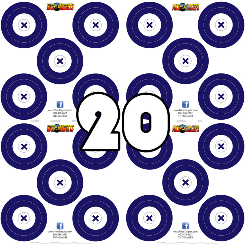 NiceTargets 5 Spot Blue Value Pack (20 Targets) | NiceTargets